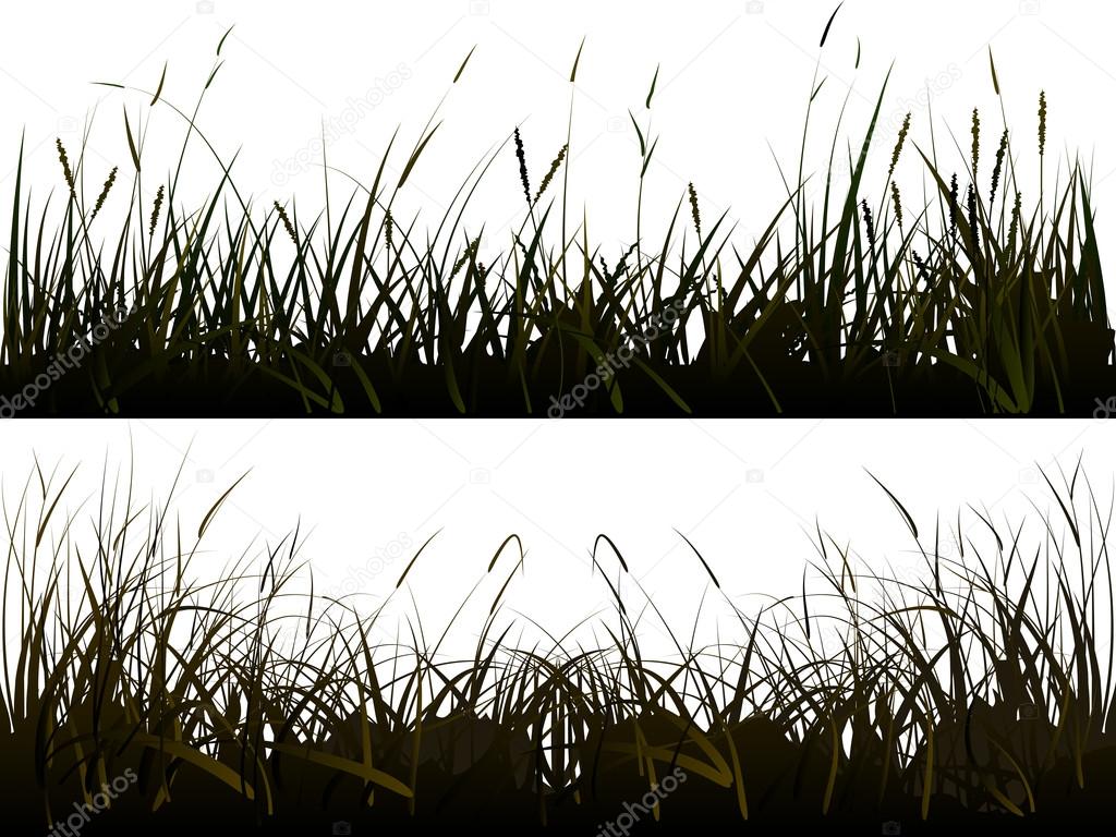 Prairie Grass Vector