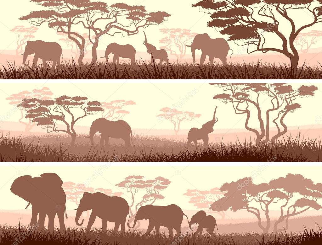 Banderas horizontales de animales salvajes en la sabana africana ...