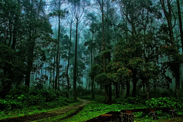 Indonesia landscape Stock Photos, Royalty Free Indonesia landscape ...