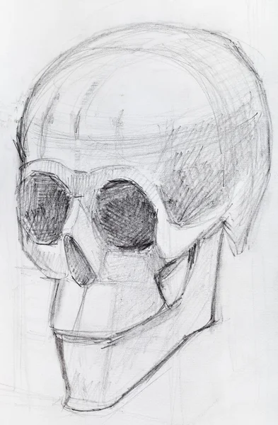 Human skeleton drawing Stock Photos, Royalty Free Human skeleton ...