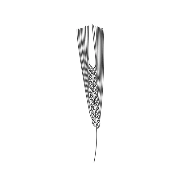 23,729,901 Grain spike Vector Images | Depositphotos