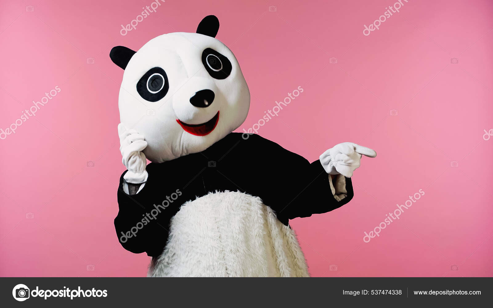 Person Happy Panda Bear Costume Pointing Finger Isolated Pink Stock ...