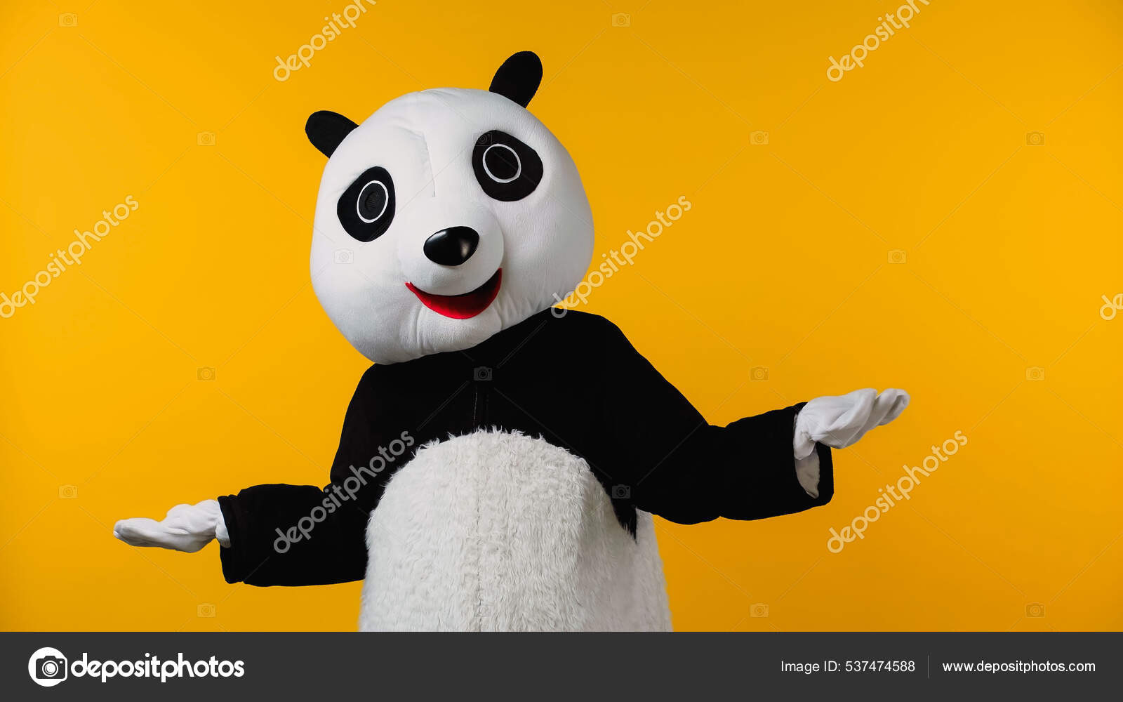 Confused Person Panda Bear Costume Showing Shrug Gesture Isolated ...
