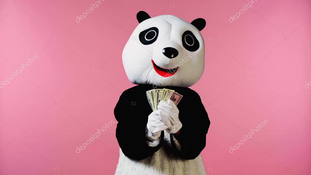 persona en traje de oso panda sosteniendo billetes de dólar aislados en ...