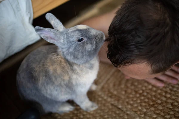 Rabbit man Images - Search Images on Everypixel