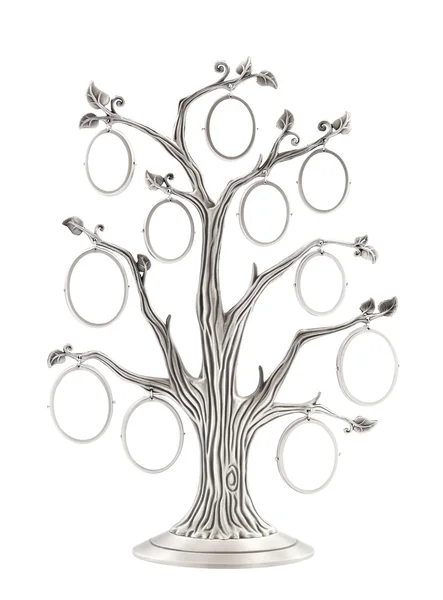 Silver genealogical family tree with small oval frames — Stock Photo ...