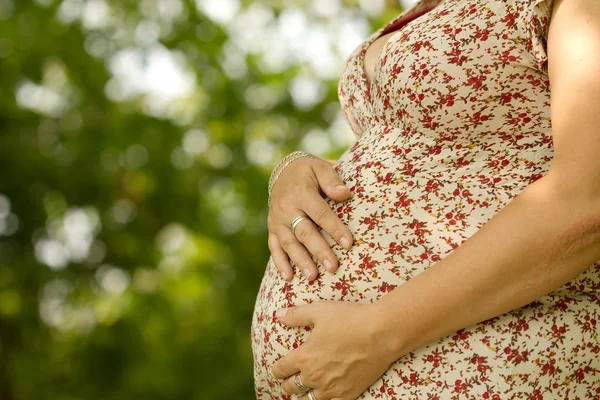 Período de gestación Stock Photos, Royalty Free Período de gestación ...