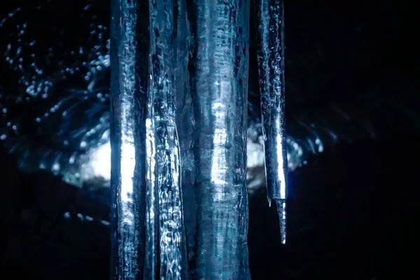 Real Dragon Found In Ice