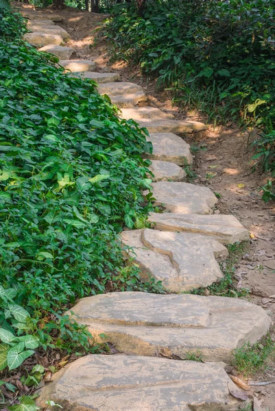 Grit pathway Stock Photos, Royalty Free Grit pathway Images | Depositphotos