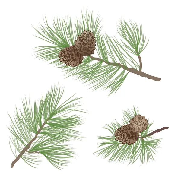 Pine tree branch seamless background Stock Photo by ©YokoDesign 27652771