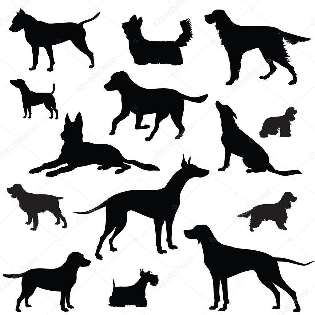 Dog silhouette — Stock Vector © YokoDesign #37141623