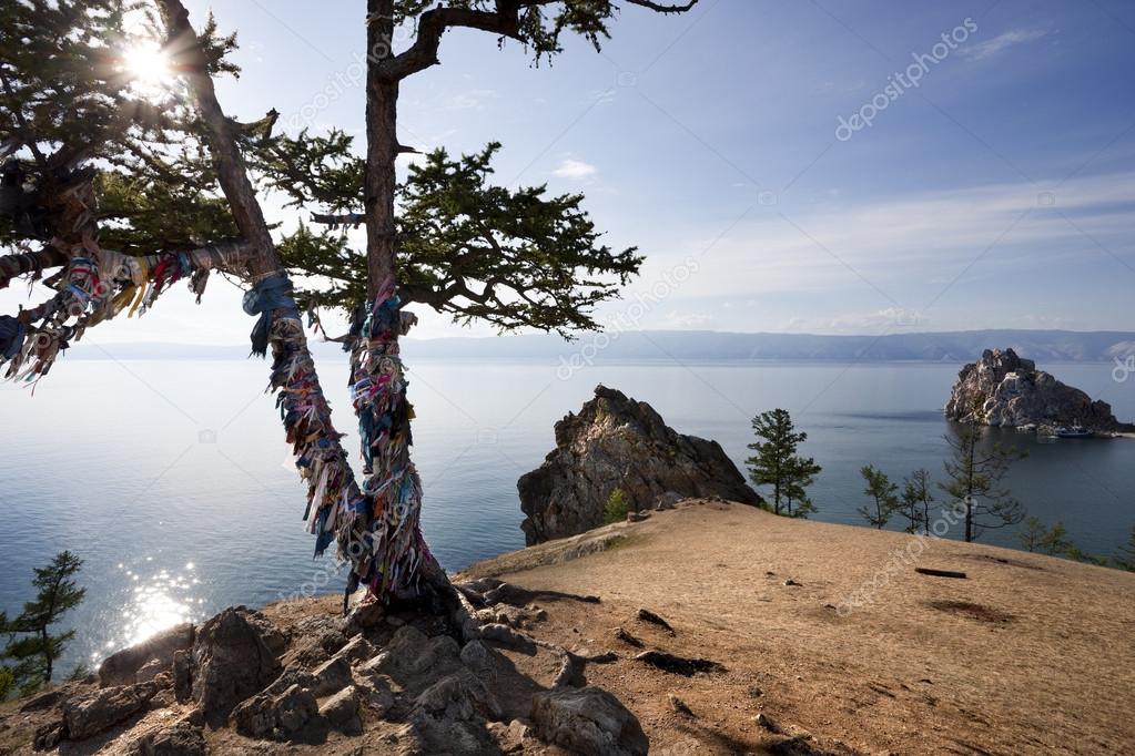 Shaman tree Stock Photo by ©jjuncadella 18181691
