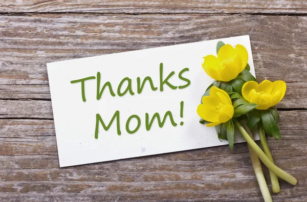 Thank you — Stock Photo © coramueller #31838063