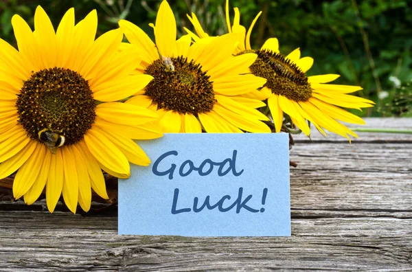 Sunflowers Stock Photo by ©coramueller 29959241