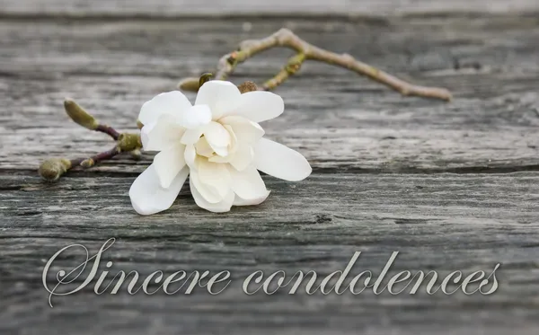 Condolences images libres de droit, photos de Condolences | Depositphotos