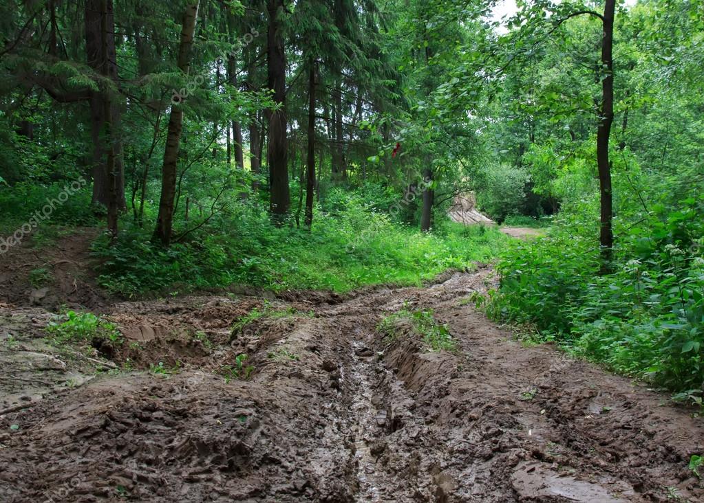 Forest road of mud — Stock Photo © Fieryphoenix #32806141
