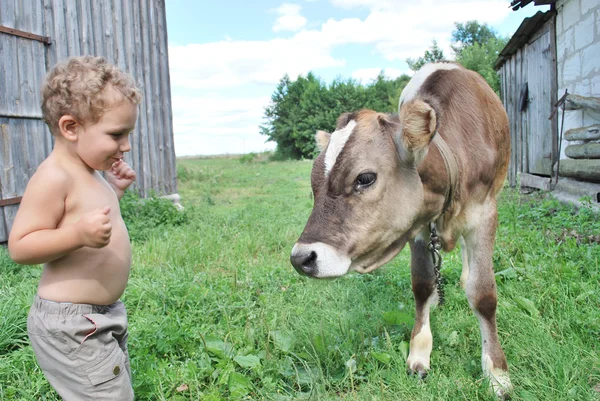 Child with cow Stock Photos, Royalty Free Child with cow Images ...