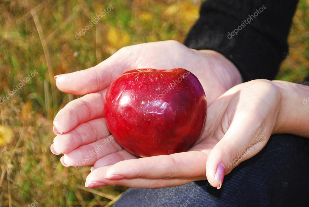 Apple on the palm Stock Photo by ©Tsomkaigor 42766631