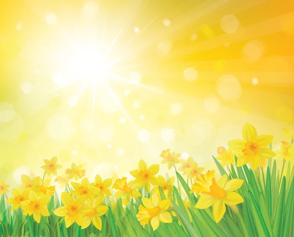 Spring Background Clipart Free