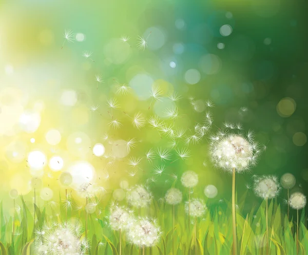 Spring Vector Graphics | Everypixel