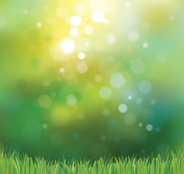 Vector Spring Nature Background Green Grass Green Bokeh Background ...