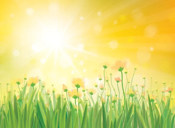 Sunshine Vector Art Stock Images | Depositphotos