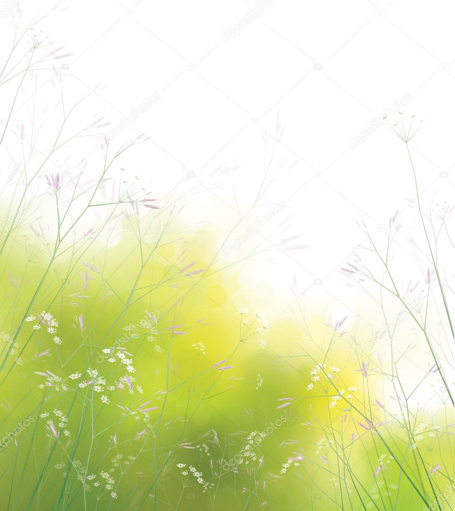 Vector wildflowers background. Stock Vector Image by ©rvika #39773473