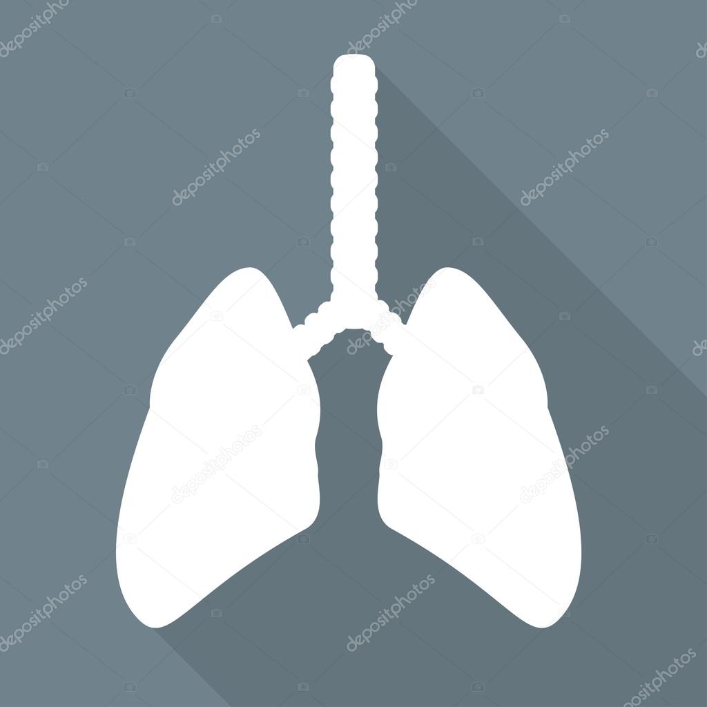 Icono de pulmón humano. Formación médica. Asistencia sanitaria Vector ...