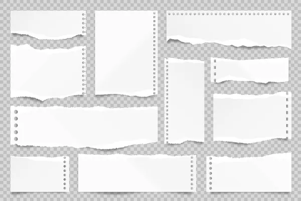 Ripped paper strips on transparent background. Realistic crumpled paper ...