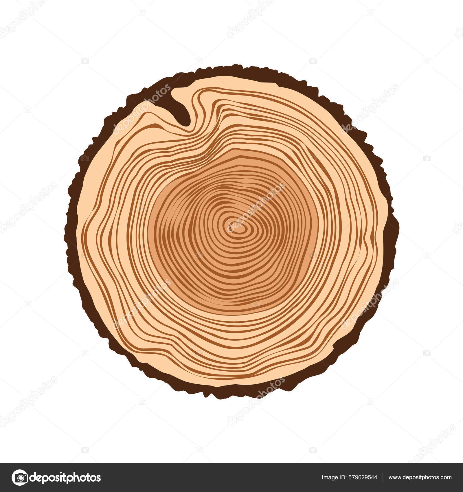 Tree Trunk Cut Sawn Pine Oak Slice Saw Cut Timber Stock Vector by ...