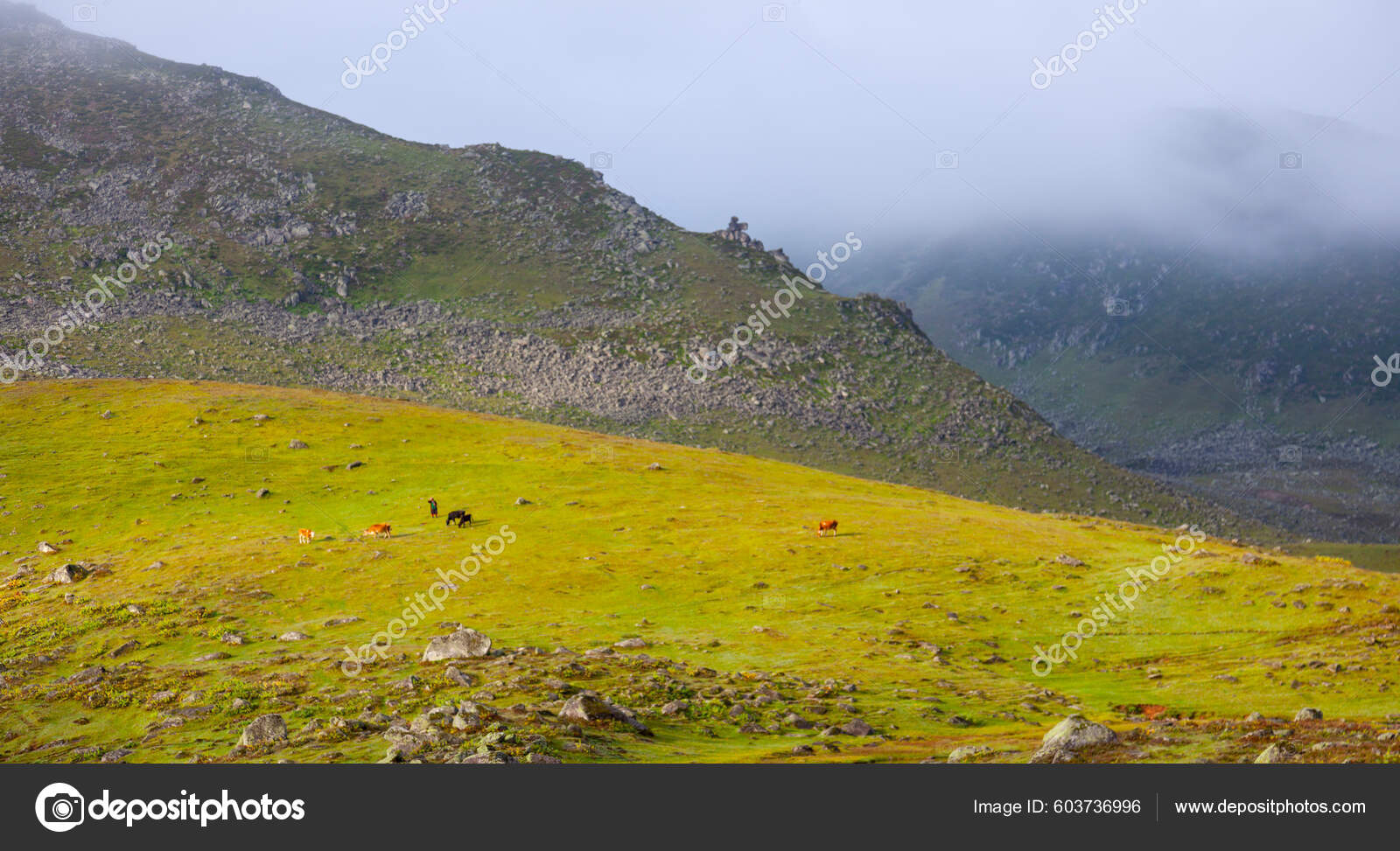 Kodz Plateau One Most Beautiful Plateaus Kakar Mountains One Favorite ...