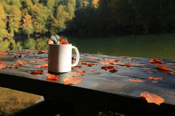 Coffee with nature Stock Photos, Royalty Free Coffee with nature Images ...