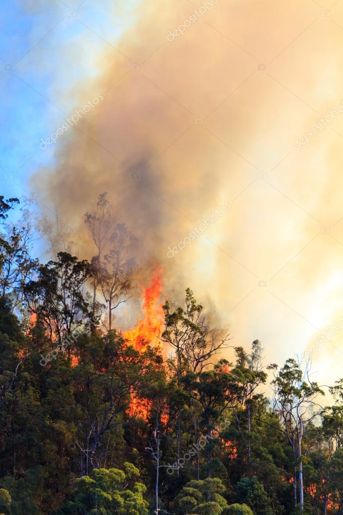 Huge Bushfire Flames — Stock Photo © silkenphotos #34870033