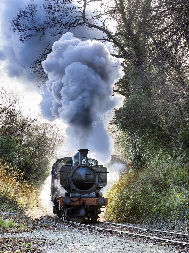 Steam Train — Stock Photo © flotsom #38143459