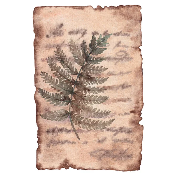 Vintage parchment paper, old books and cute owl. Stock Photo by ...