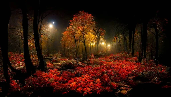Dark Autumn Forest