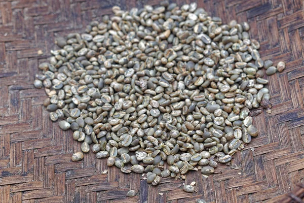 Siam weed seeds Stock Photos, Royalty Free Siam weed seeds Images ...