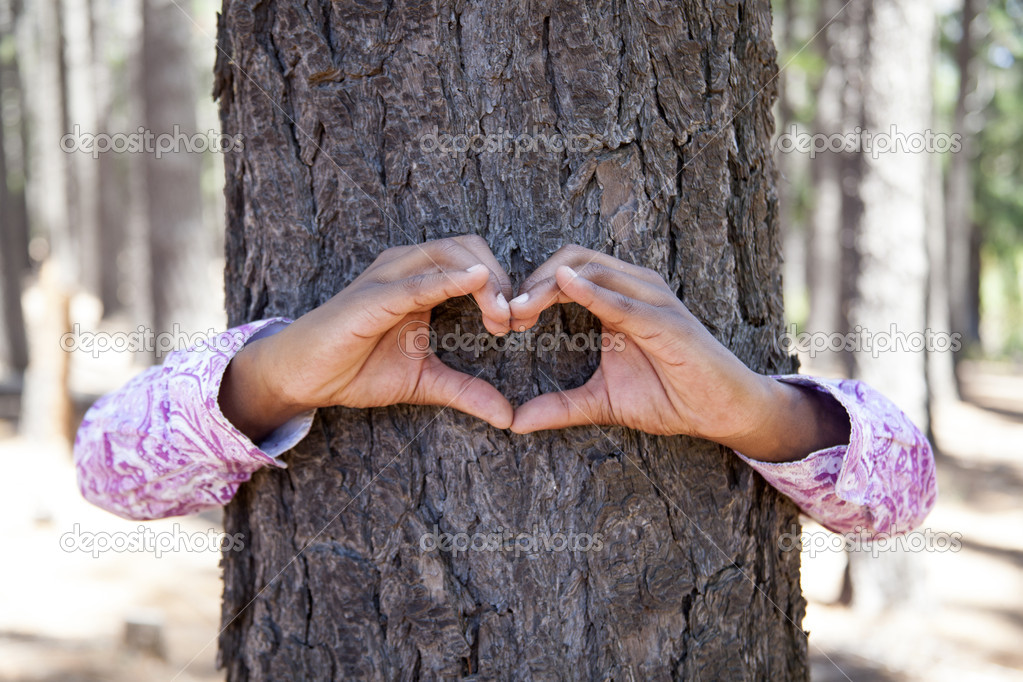 Hands making an heart shape on a trunk of a tree. Stock Photo by ...