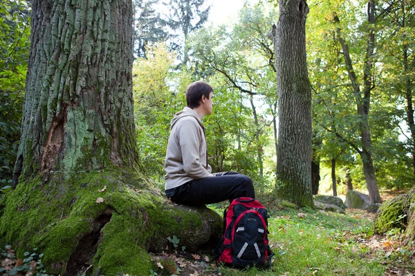 Man is sitting resting under a large old oak tree — Stock Photo ...