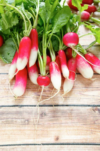 fresh radish - Stock Image - Everypixel