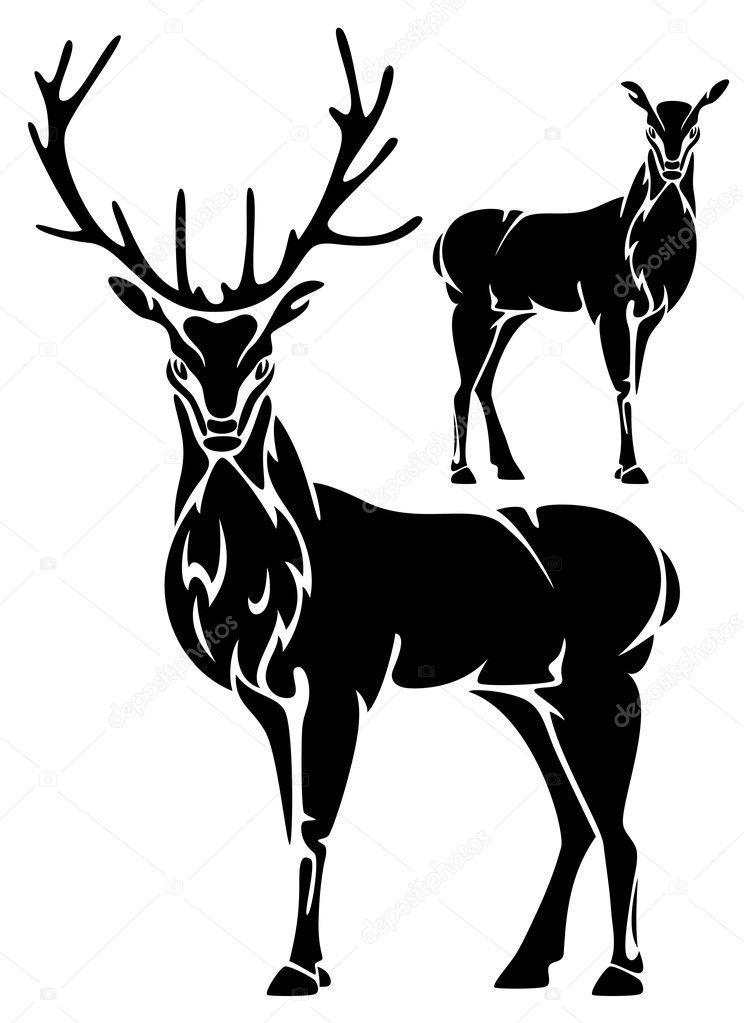 Silhouette de cerf, vecteur, illustration — Image vectorielle Cattallina © #19705395