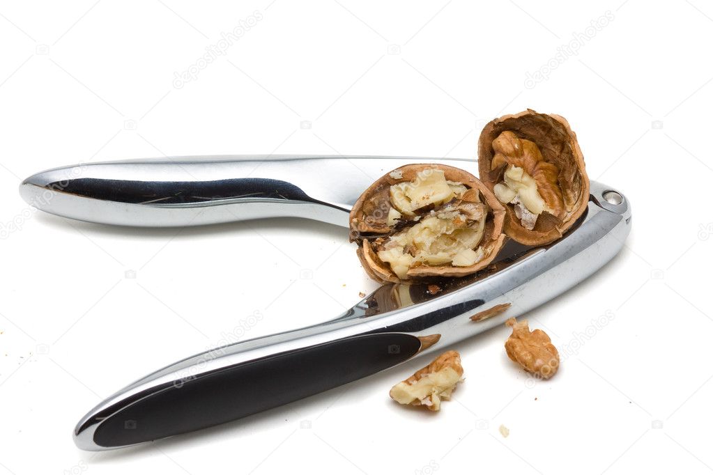 Walnut cracker Stock Photo by ©shawn_hempel 18721107