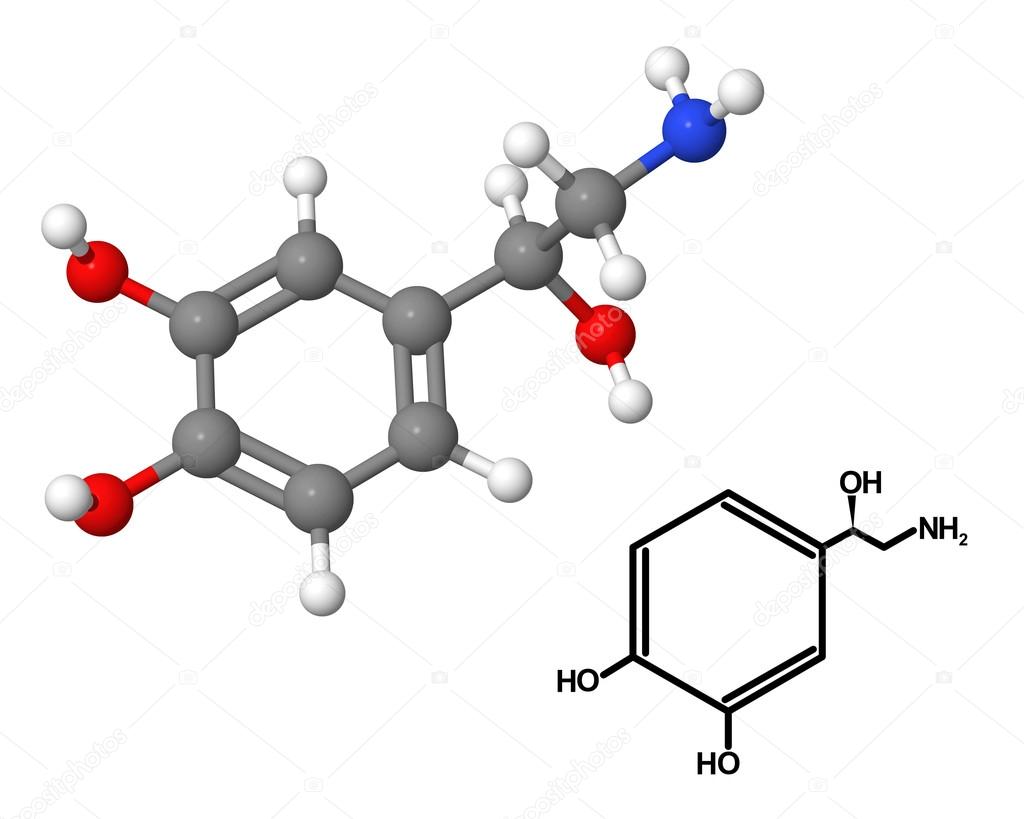 Norepinefrina O Que é - FDPLEARN