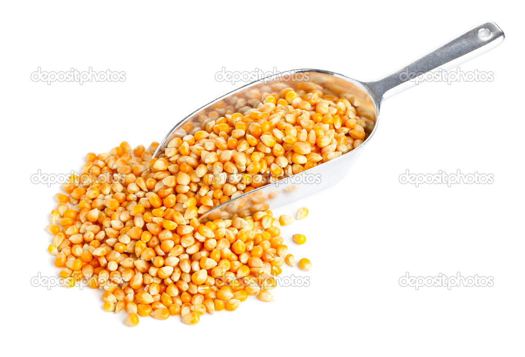 Corn kernels Stock Photo by ©shawn_hempel 35850391