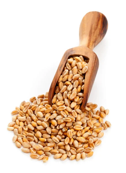 Proteína de trigo Stock Photos, Royalty Free Proteína de trigo Images ...