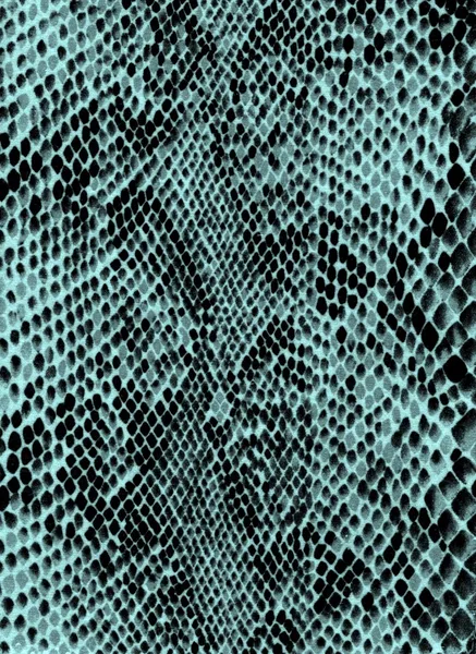 Blue reptile/snake skin imitation - Stock Image - Everypixel