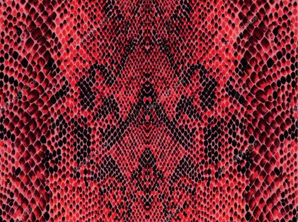 Reptile skin background in collor Stock Photo by ©egluteskarota 20241245