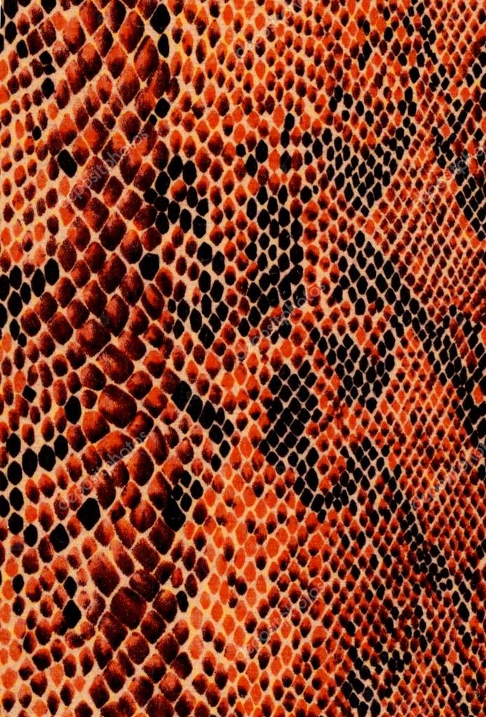 Reptile skin background in collor Stock Photo by ©egluteskarota 20241247