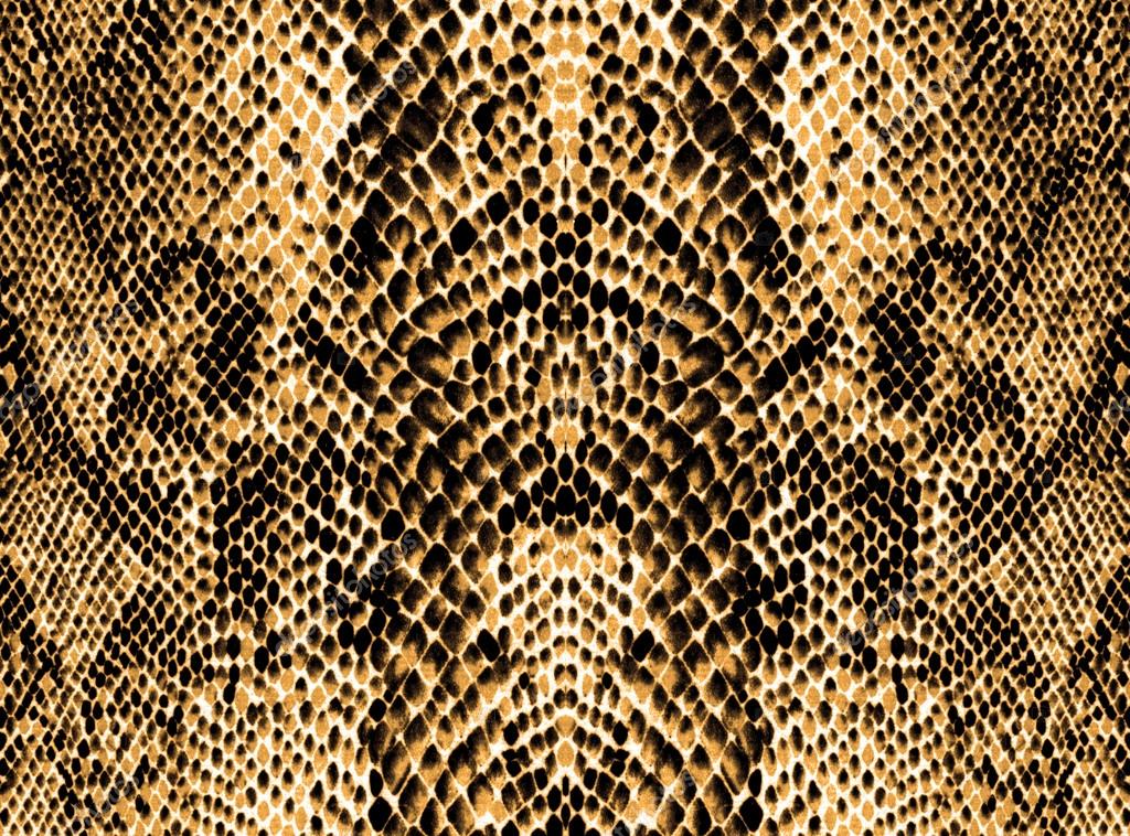 Colorful snake skin texture background Stock Photo by ©egluteskarota ...