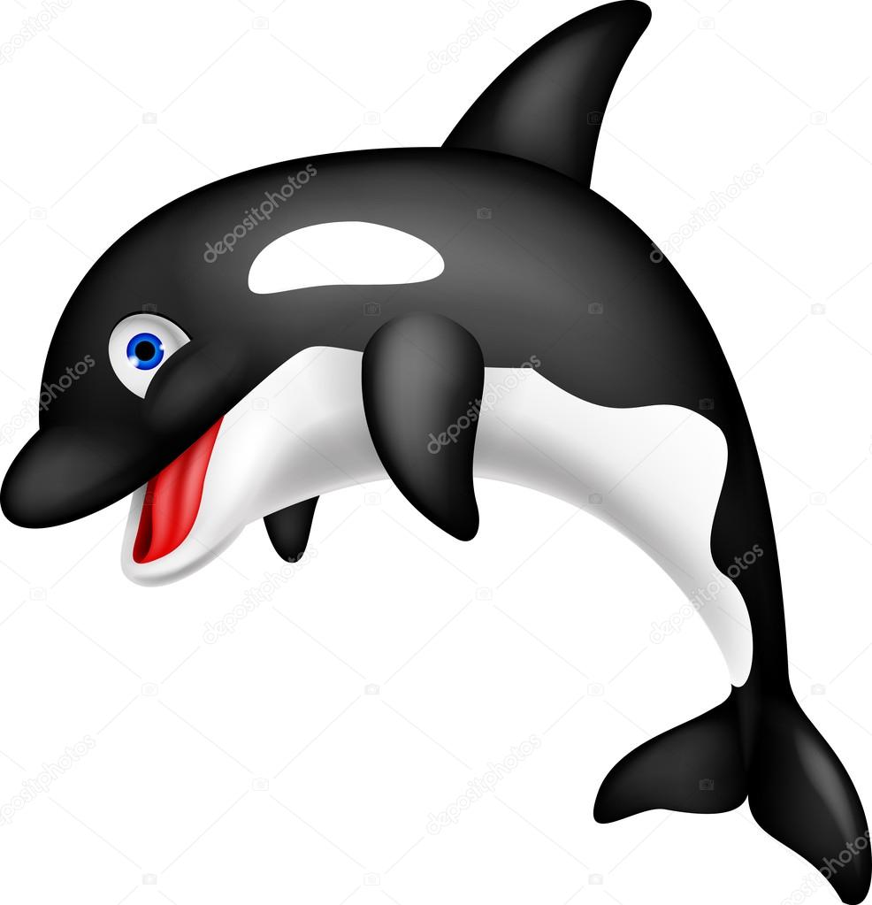 Dibujos animados de orcas — Vector de stock © tigatelu #19588755